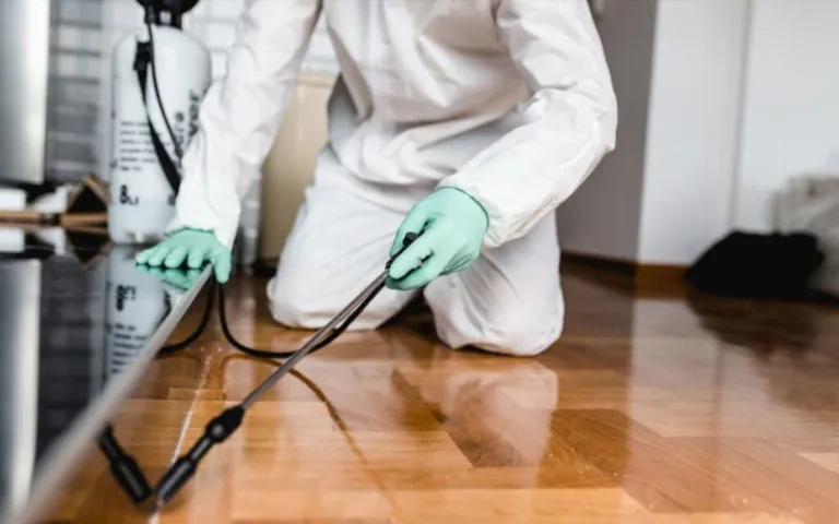 Pest Control Services in South Florida | Plant Health Care
